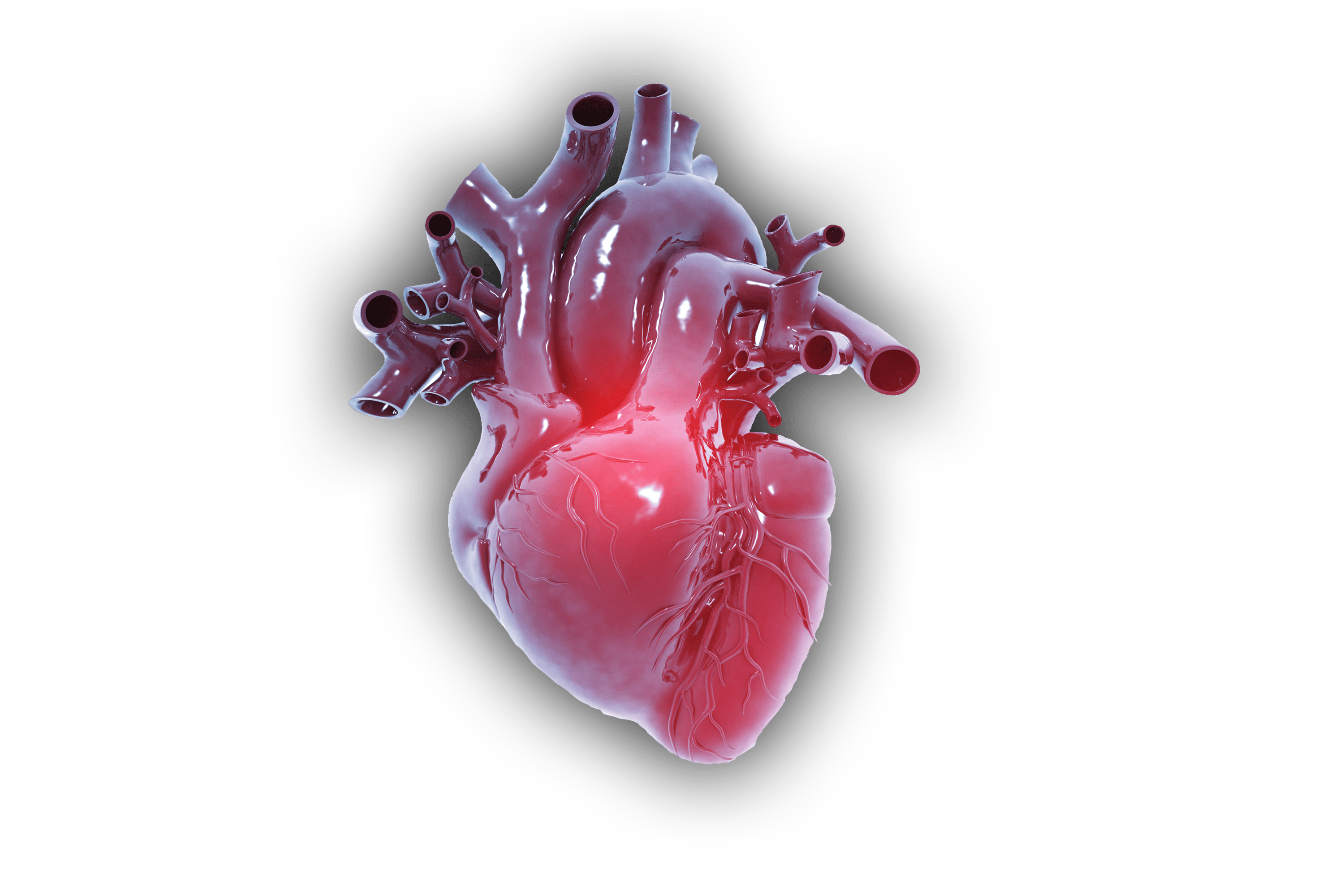 AI-Powered CT FFR Analysis with DeepVessel® by Keya Medical | PIA