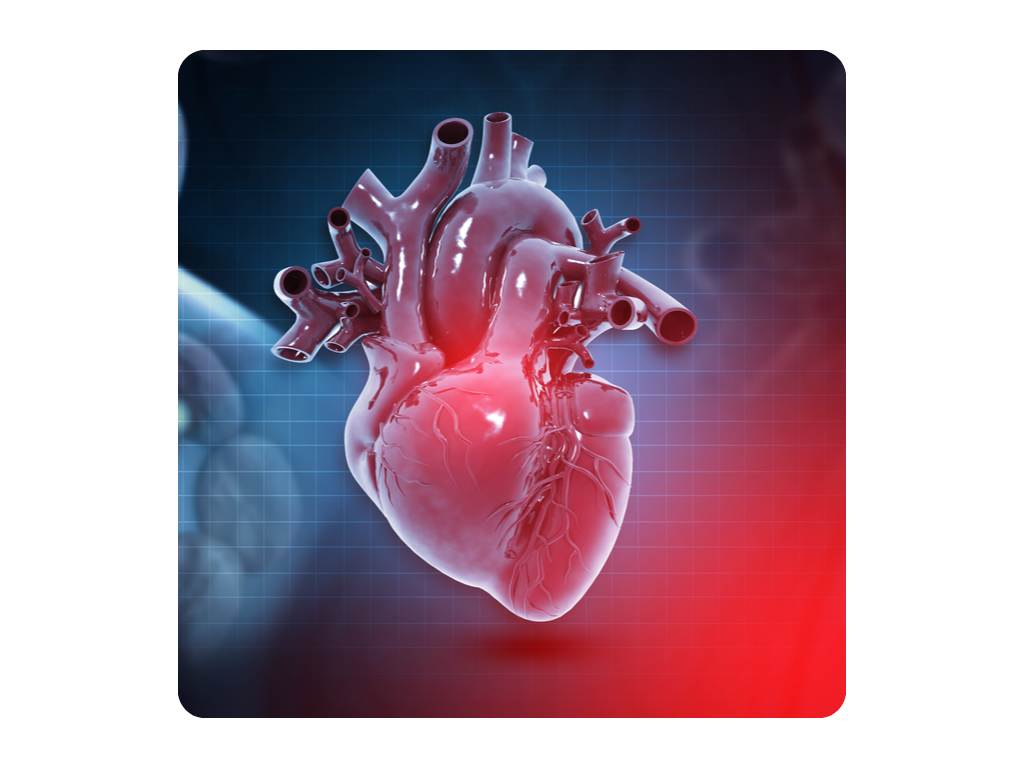 AI-Powered CT FFR Analysis with DeepVessel® by Keya Medical | PIA